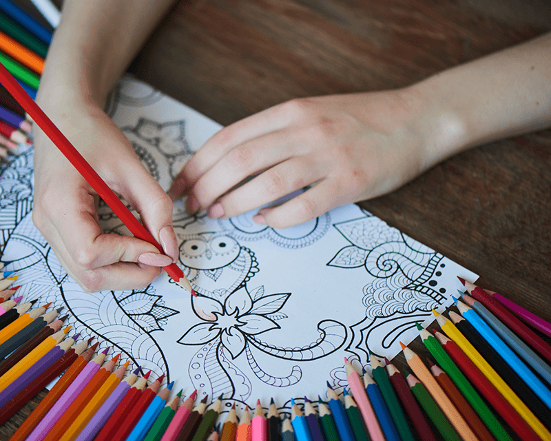 Sekolah Pengurusan dan Sains Sosial – Kolej Yayasan Pelajaran Johor