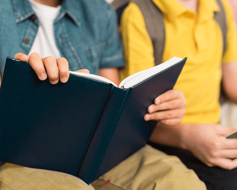 Sekolah Pengurusan dan Sains Sosial – Kolej Yayasan Pelajaran Johor